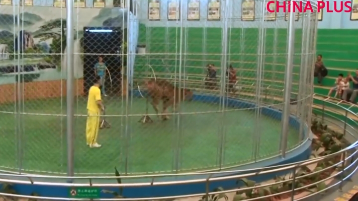 Guangzhou Zoo shutters popular circus performance - China Plus