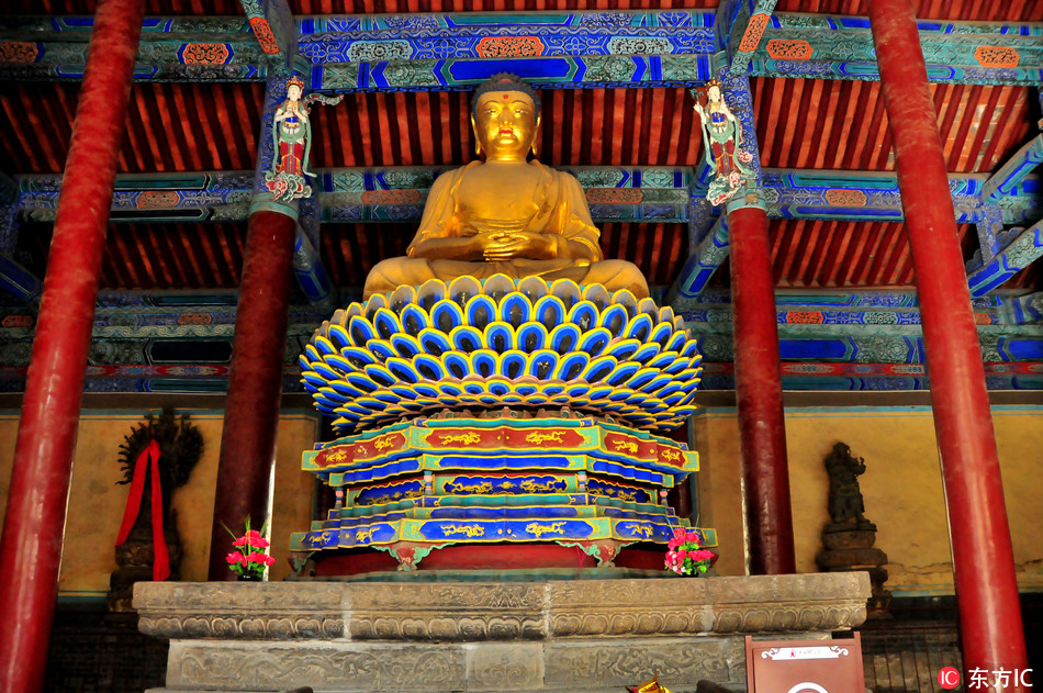 Passionate stories of a Chinese historical heritage protector - China Plus
