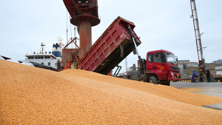 S. America outpaces the US in supplying soybeans to China: Sinograin ...