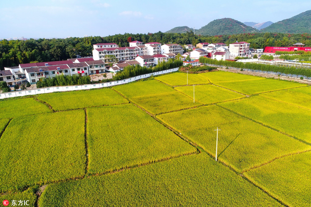 China releases five-year plan on rural vitalization strategy - China Plus