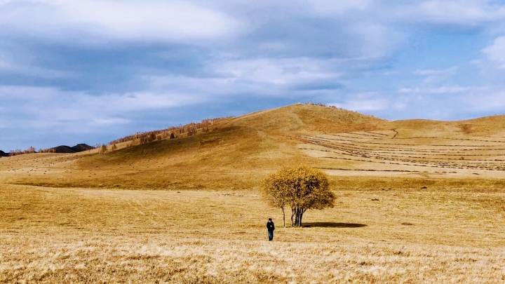 Stunning autumn colors of the Ulan Buh Grassland - China Plus