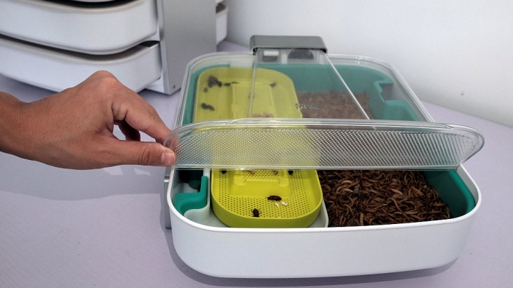 Hong Kong firm launches desktop farm for edible insects - China Plus