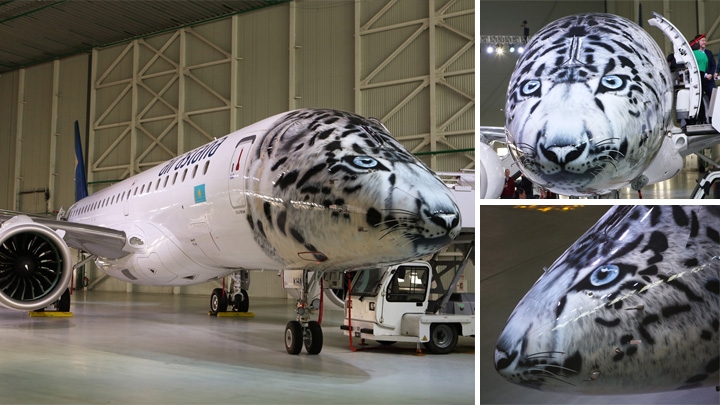 Snow leopard plane debuts in Kazakhstan - China Plus
