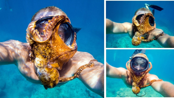 Selfie with an overly enthusiastic octopus - China plus