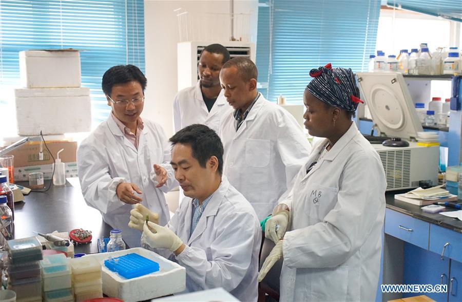 Sino-Africa Joint Research Center focuses on multiple scientific ...