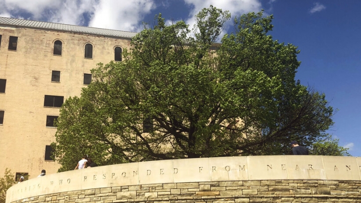 Oklahoma City bombing 'Survivor Tree' DNA to live on - China Plus