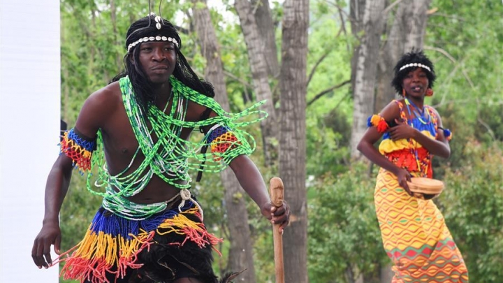 Chad Day observed during Beijing horticultural expo - China Plus