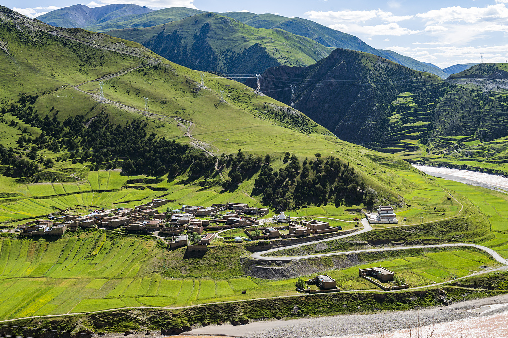 Tibeti sheh rritje të mbulimit të gjelbër