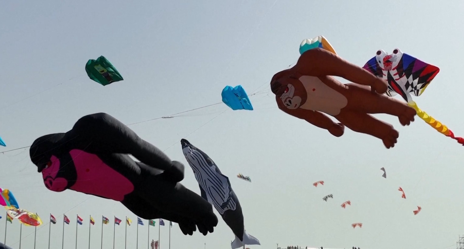 শানতংয়ে ওয়েইফাং আন্তর্জাতিক ঘুড়ি উৎসব শুরু